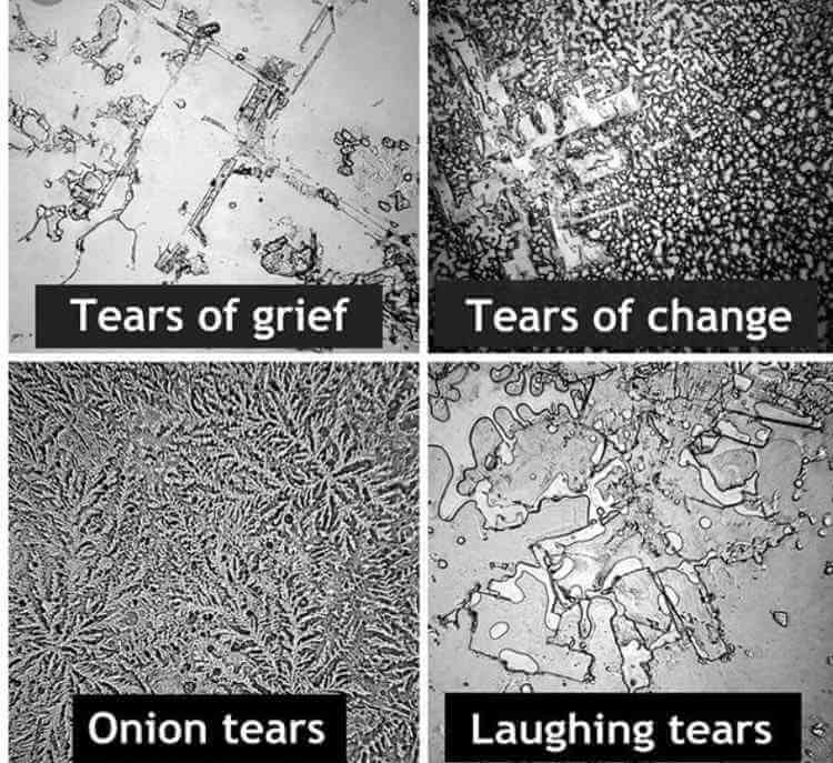 There Are Different Types Of Tears Discvr Blog