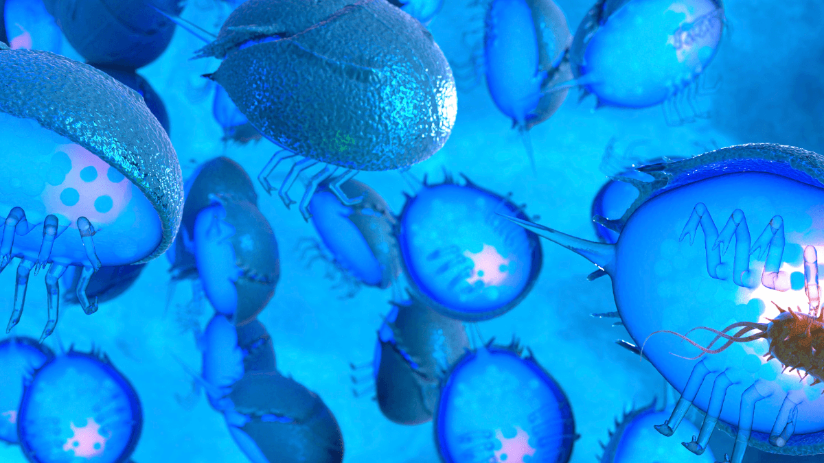 The blue blood dilemma: Ethical concerns in harvesting Horseshoe Crab ...